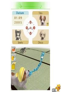Play Nintendogs - Labrador & Friends (Europe) (En,Fr,De,Es,It) On My ...