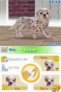Play Nintendogs - Dalmatian & Friends (USA) On My Emulator Online
